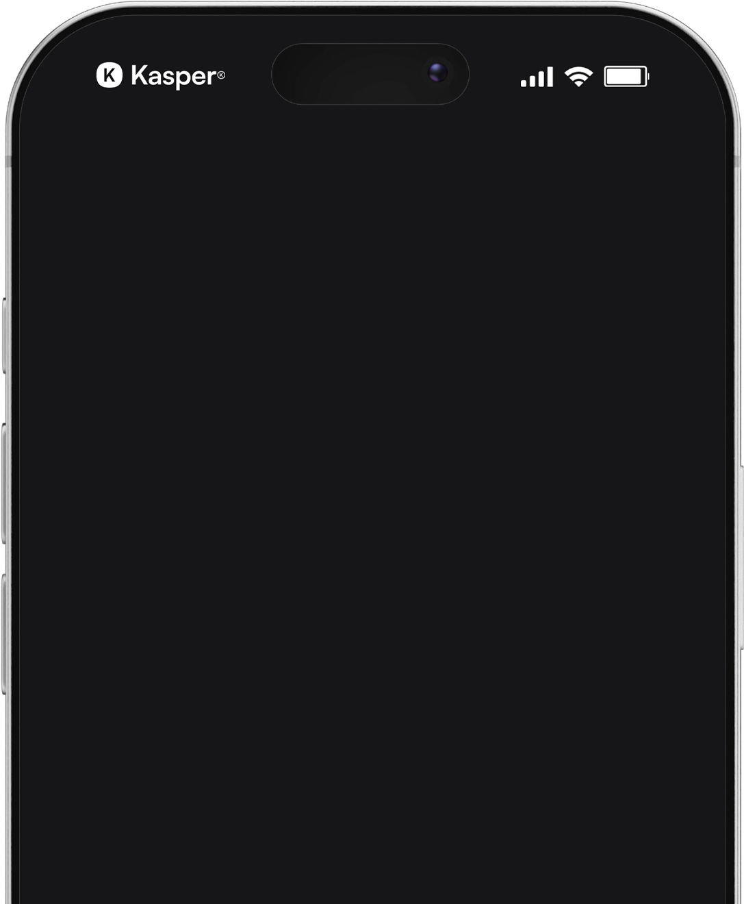 Kasper – Dölj dina uppgifter på nätet